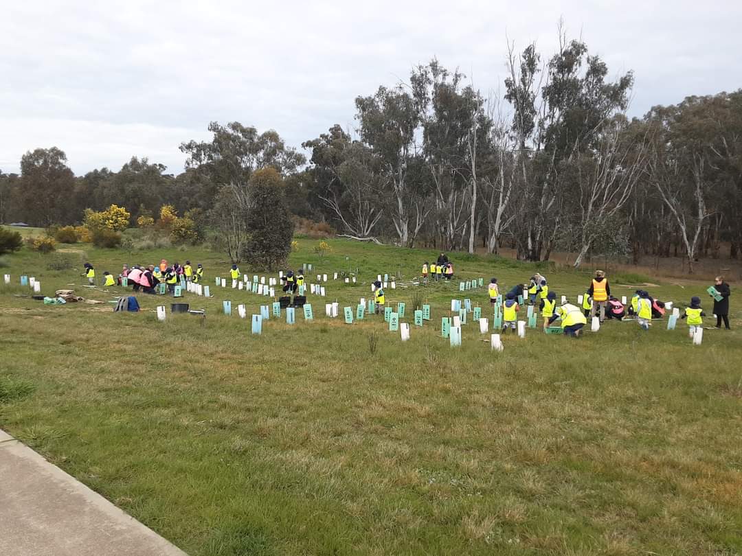 One Tree Per Child - Wyndham Early Learning